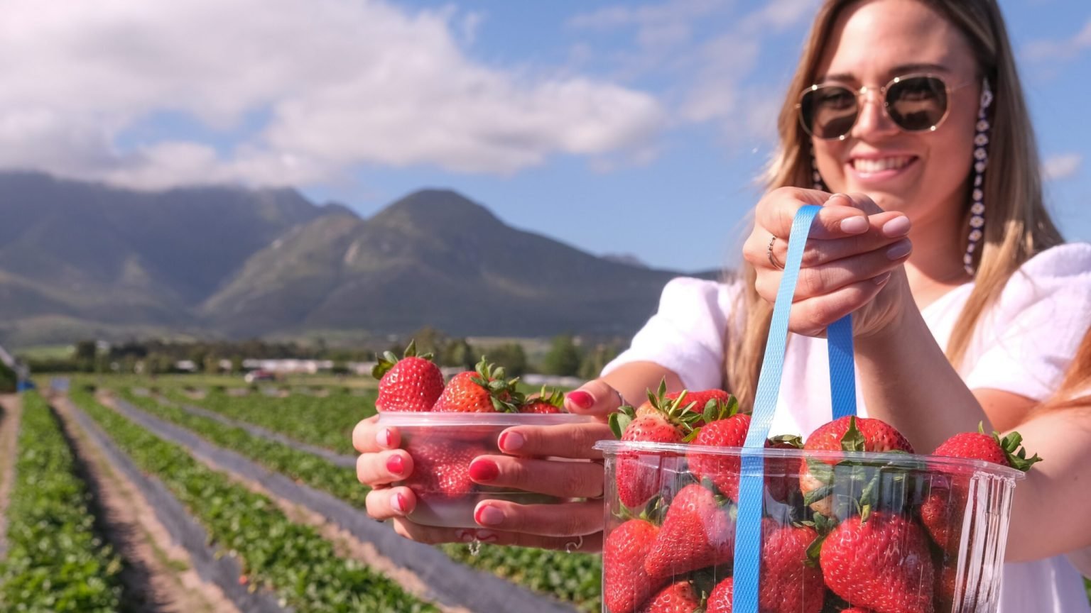Strawberry farm Stellenbosch - Entrance Fee