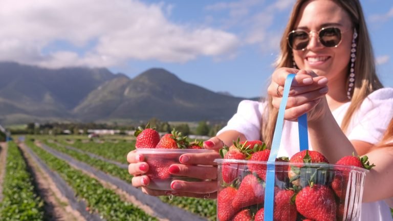 Strawberry farm Stellenbosch - Entrance Fee